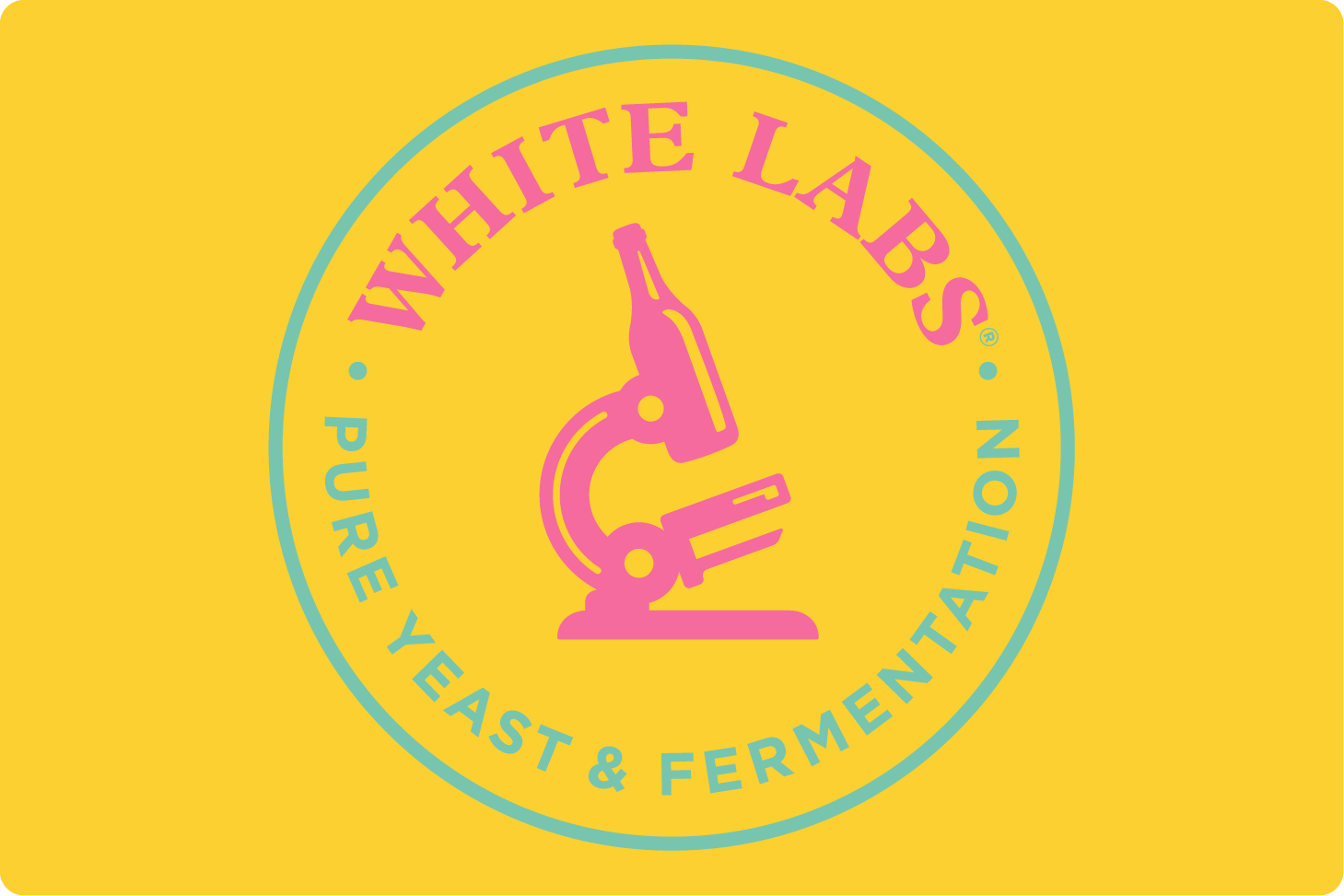 Release & Recipe: Czech Pils - San Diego Beer News®