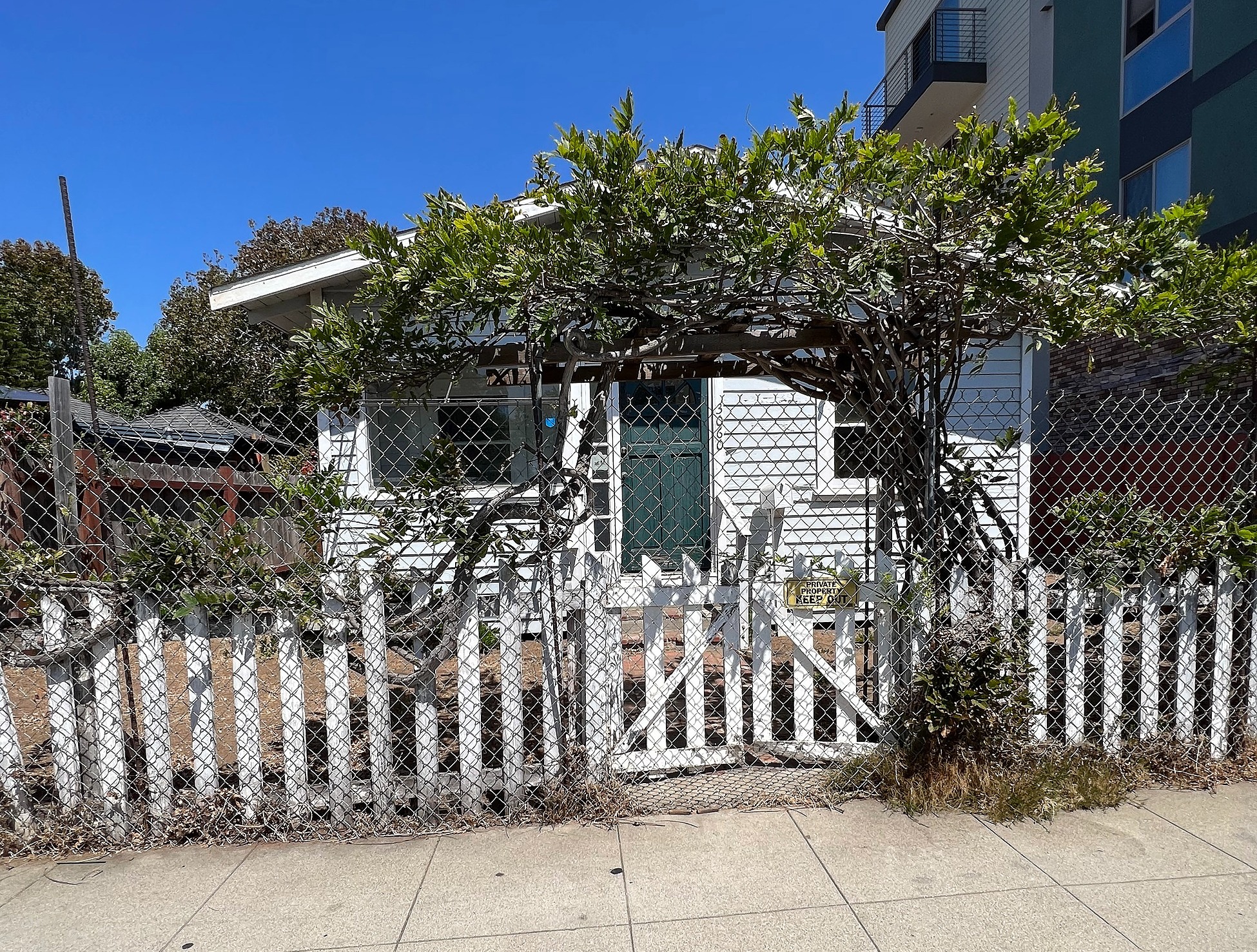 Docent Brewing reimagining Carlsbad cottage - San Diego Beer News®