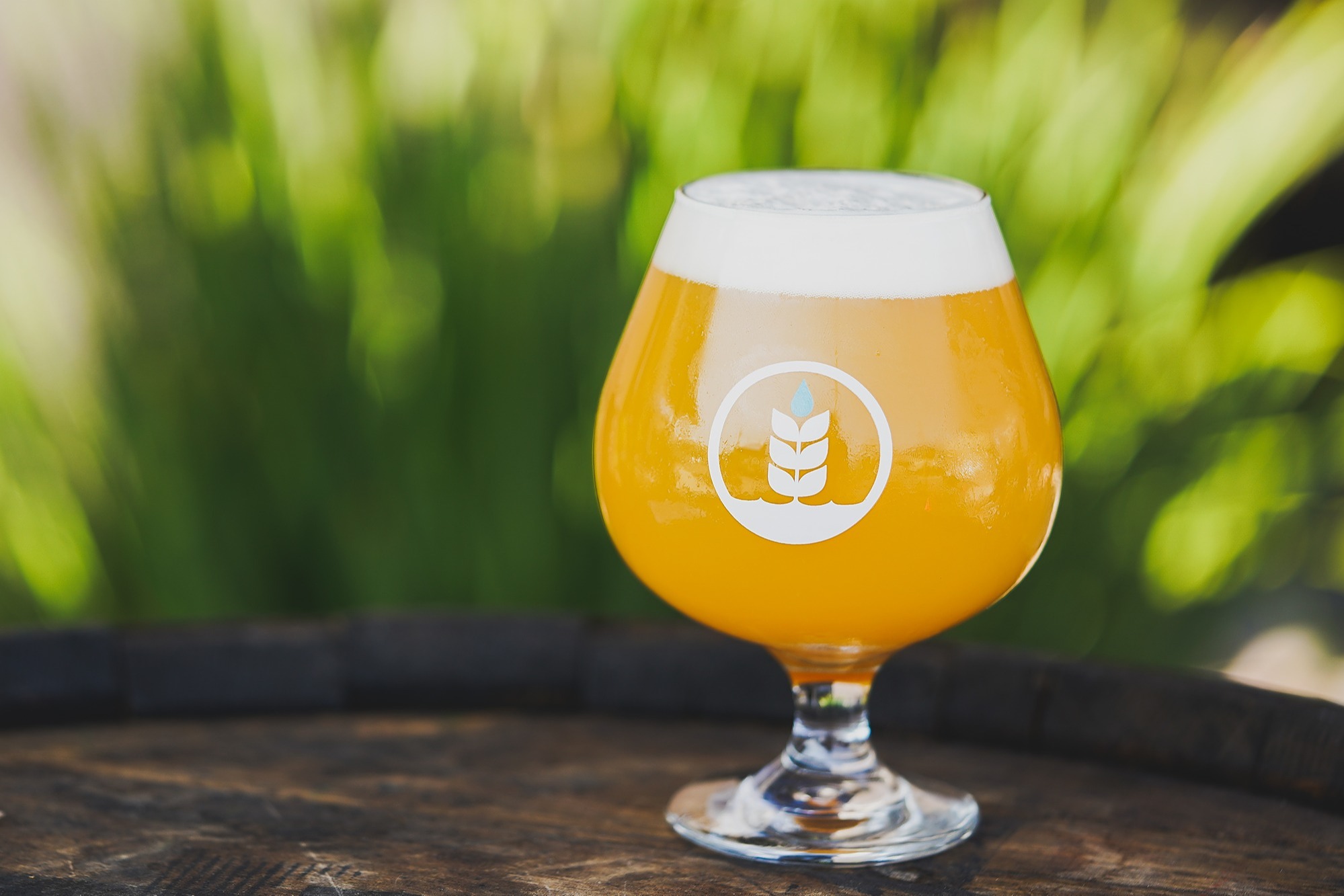 Pure Project pursuing Iron Fist facility - San Diego Beer News®