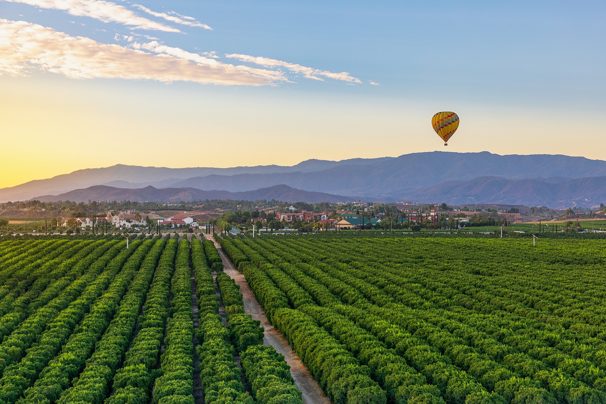 Temecula & Murrieta, California Brewery Guide - San Diego Beer News®