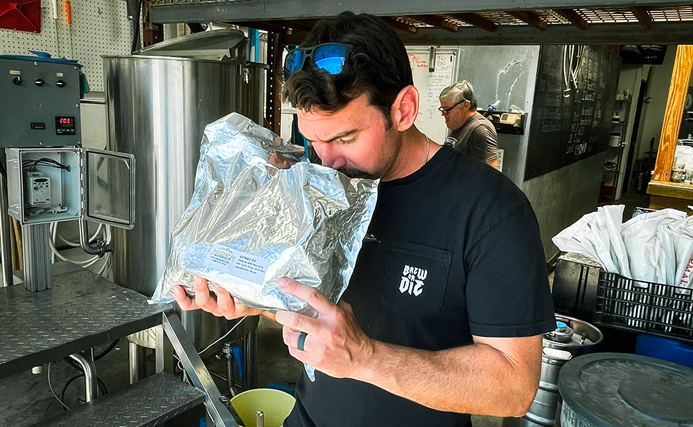 Homebrew Summer: Liquid Sol - San Diego Beer News®